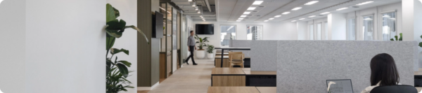 About Us | Rapidline